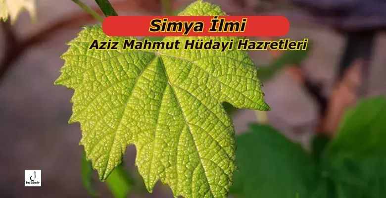 Simya İlmi - Aziz Mahmut Hüdayi Hazretleri - Dostkelimeler Hikayeler