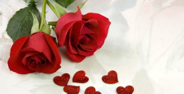 En Güzel Gül Resimleri - Dostkelimeler