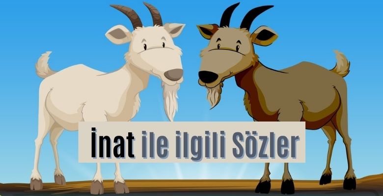 İnat ile ilgili sözler - İnat Sözleri - İnat Uğruna Sözler - Dostkelimeler
