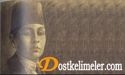 Ali Sami kimdir - Dostkelimeler